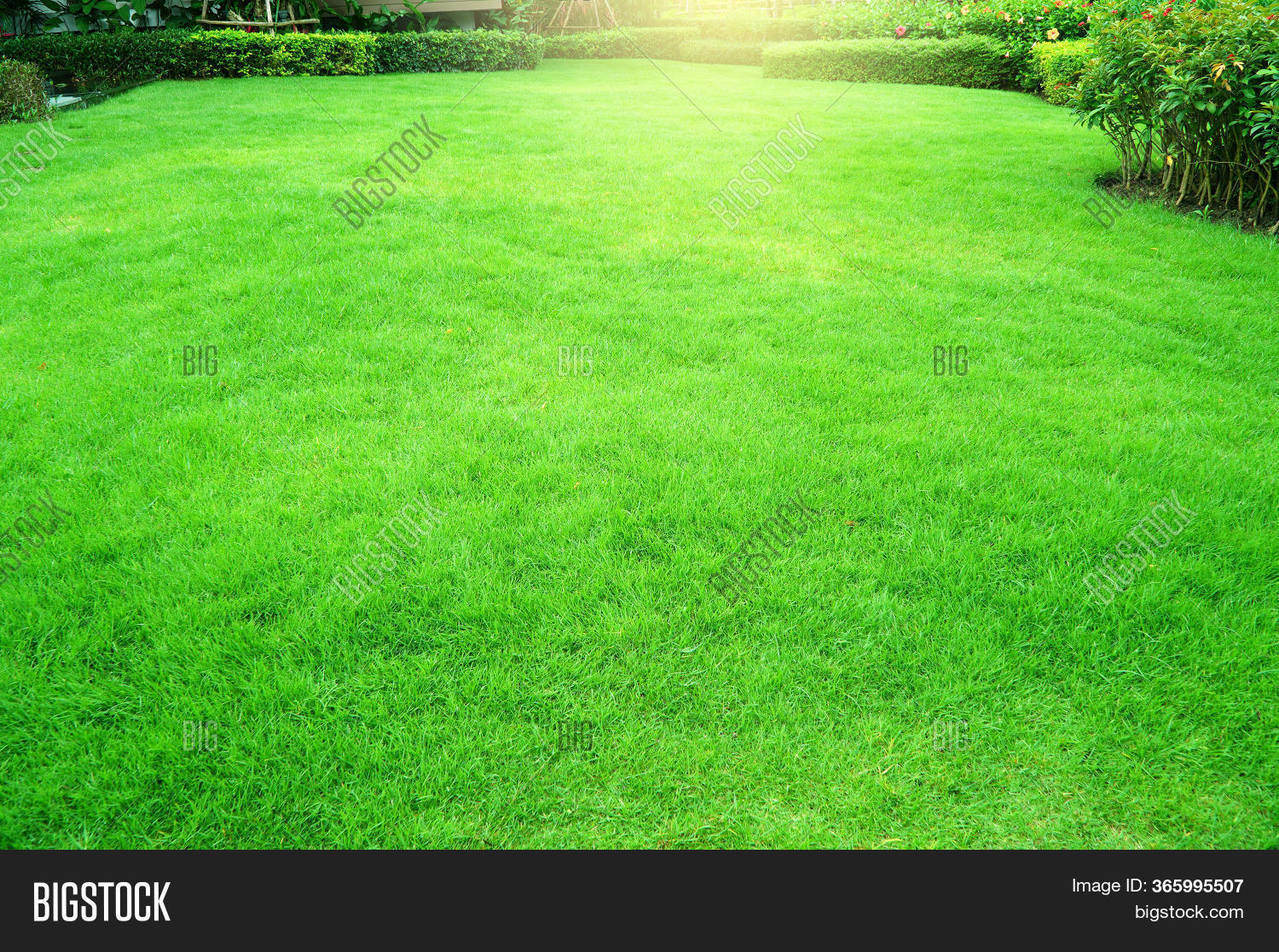 Garden Fresh Green Image & Photo (Free Trial) | Bigstock