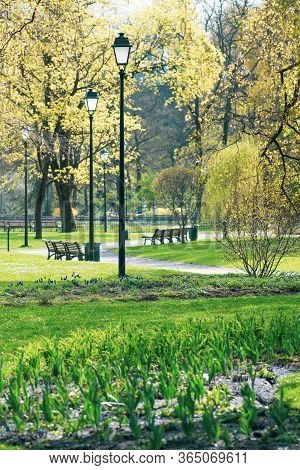 Beautiful Park Spring Image & Photo (Free Trial) | Bigstock