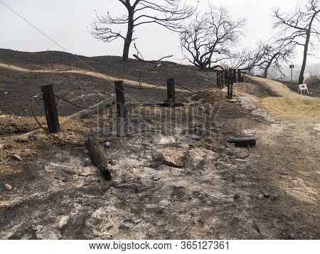 Burnt Fence Trails Image & Photo (Free Trial) | Bigstock