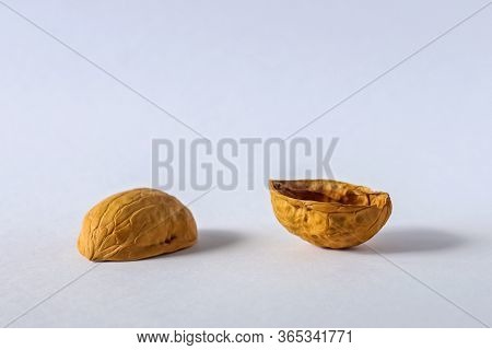 Empty Walnut Shell Two Image & Photo (Free Trial) | Bigstock