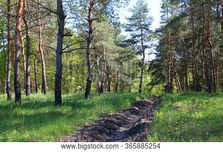 Summer Fire Ditch Image & Photo (Free Trial) | Bigstock
