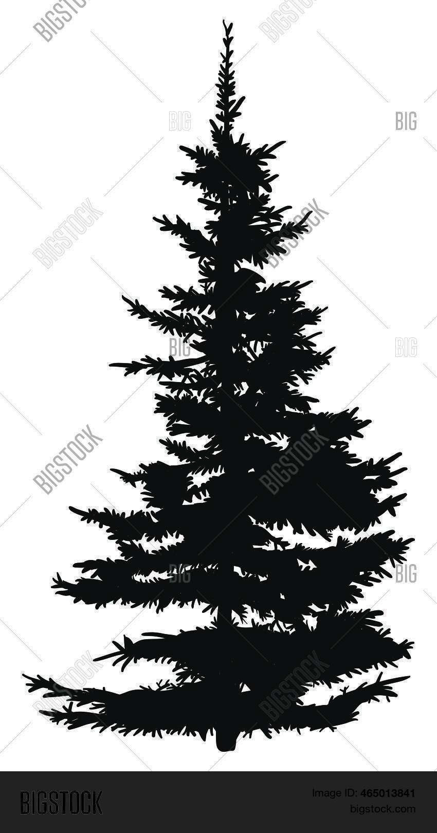 Silhouette Fir Tree. Vector & Photo (Free Trial) | Bigstock