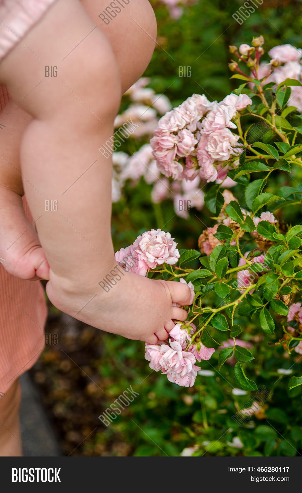 Tender Beautiful Image & Photo (Free Trial) | Bigstock