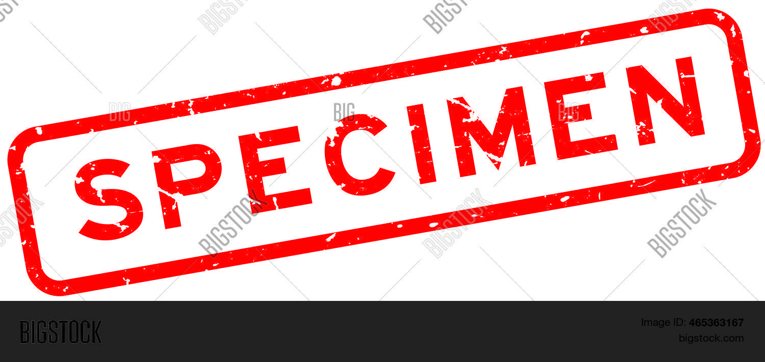 เวกเตอร์และภาพถ่าย (ทดลองใช้ฟรี) | Bigstock