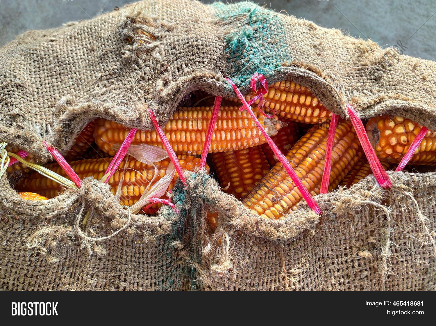 Piles Corn Were Placed Image & Photo (Free Trial) | Bigstock