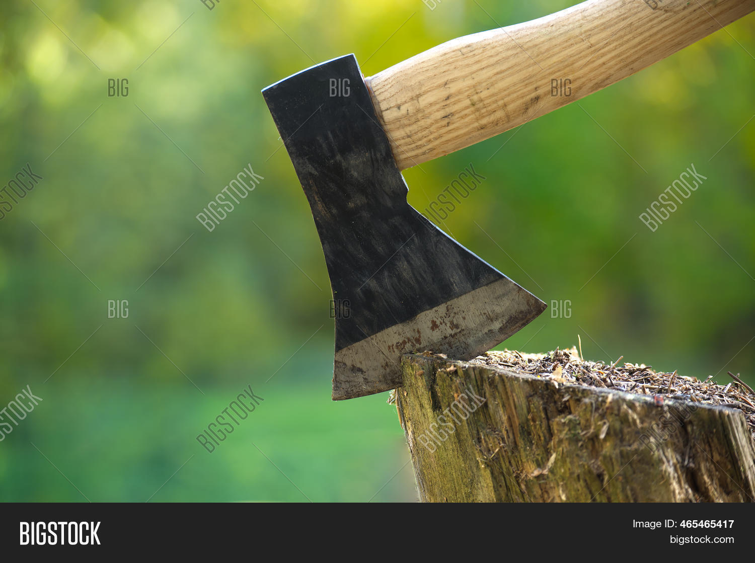 Axe Chopper Stuck Moss Image & Photo (Free Trial) | Bigstock