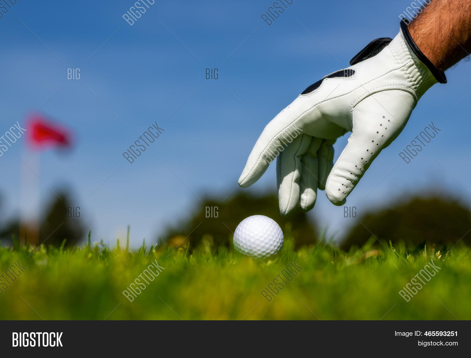Golfer Man Golf Glove Image & Photo (Free Trial) | Bigstock