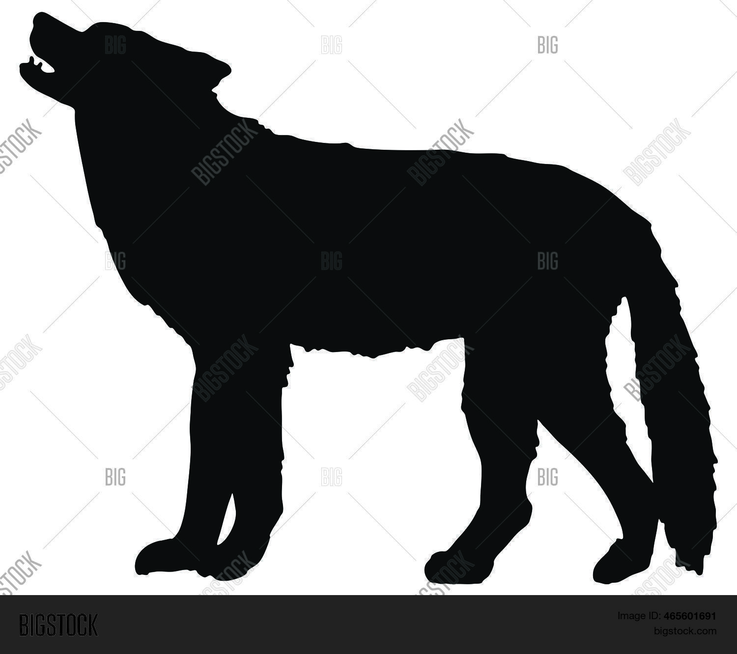 Wolf Shouting Side Vector & Photo (Free Trial) | Bigstock