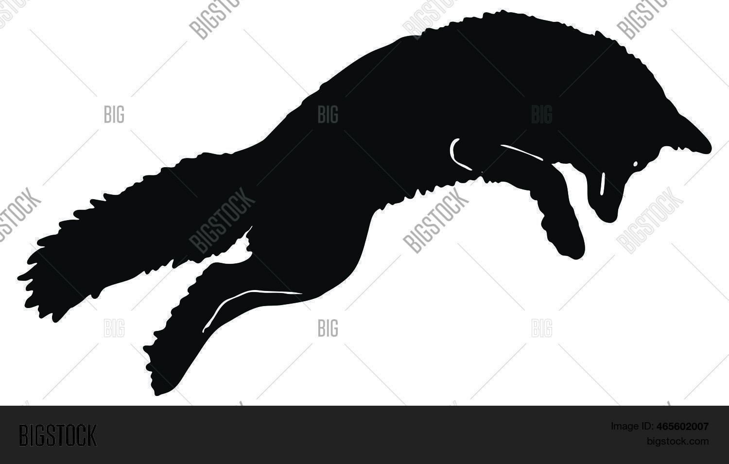 Fox Jumping Vector & Photo (Free Trial) | Bigstock