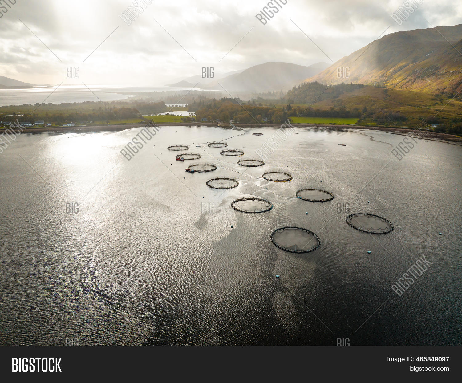 Aquaculture Intensive Image & Photo (Free Trial) | Bigstock