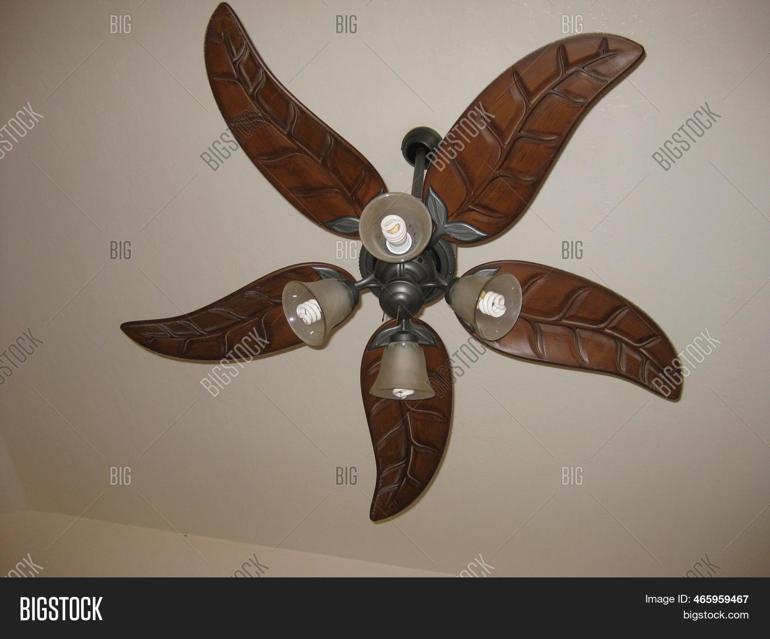 Ceiling Fan Five Leaf Image & Photo (Free Trial) | Bigstock