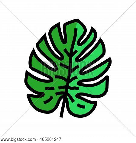 Monstera Tropical Vector & Photo (Free Trial) | Bigstock
