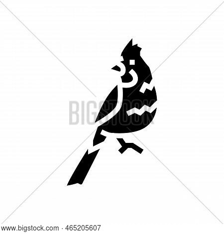 Northern Cardinal Vector & Photo (Free Trial) | Bigstock