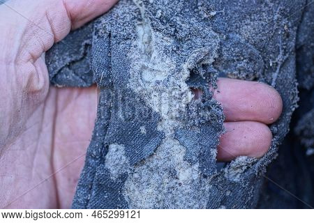 Two Brown Fingers Hand Image & Photo (Free Trial) | Bigstock