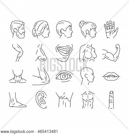Body Facial People Vector & Photo (Free Trial) | Bigstock
