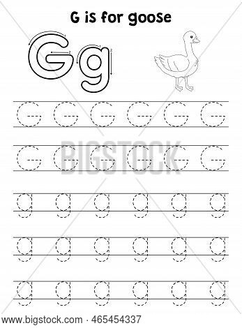 Cute Funny Tracing Vector & Photo (Free Trial) | Bigstock