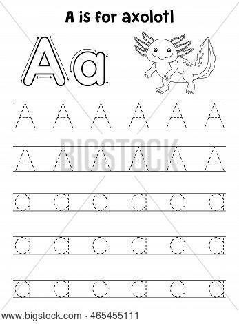 Cute Funny Tracing Vector & Photo (Free Trial) | Bigstock