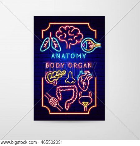 Anatomy Neon Flyer. Vector & Photo (Free Trial) | Bigstock