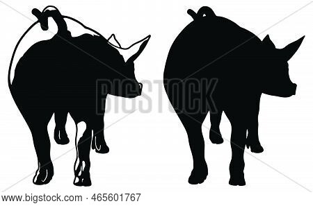 Pig Back View Farm Vector & Photo (Free Trial) | Bigstock
