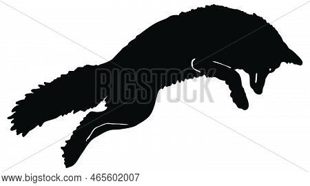 Fox Jumping Vector & Photo (Free Trial) | Bigstock