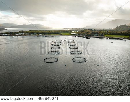 Aquaculture Intensive Image & Photo (Free Trial) | Bigstock