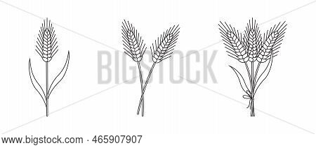 Set Outline Wheat Vector & Photo (Free Trial) | Bigstock