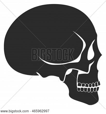 Human Skull Side View Vector & Photo (Free Trial) | Bigstock
