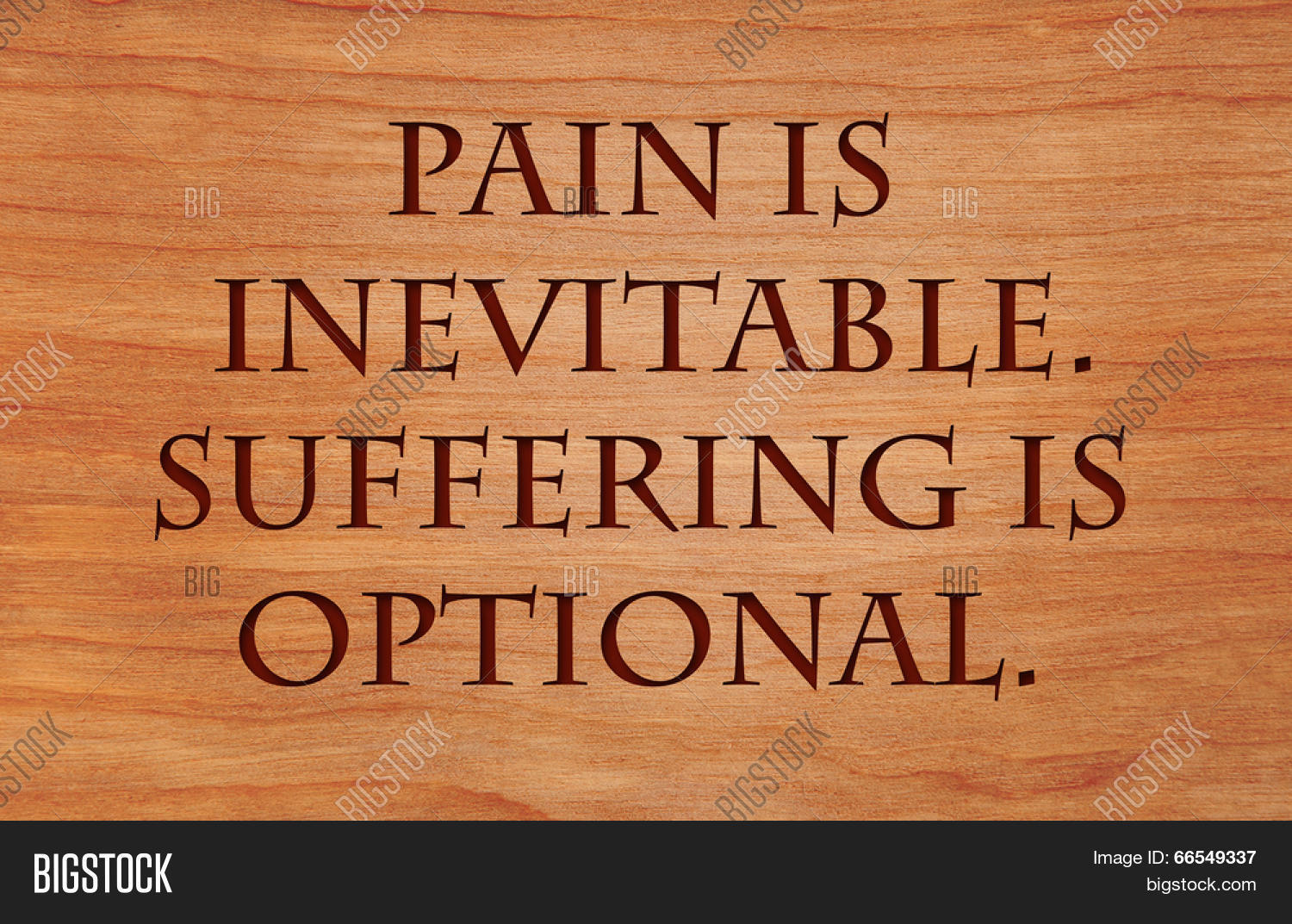 Pain Inevitable. Image & Photo (Free Trial) | Bigstock