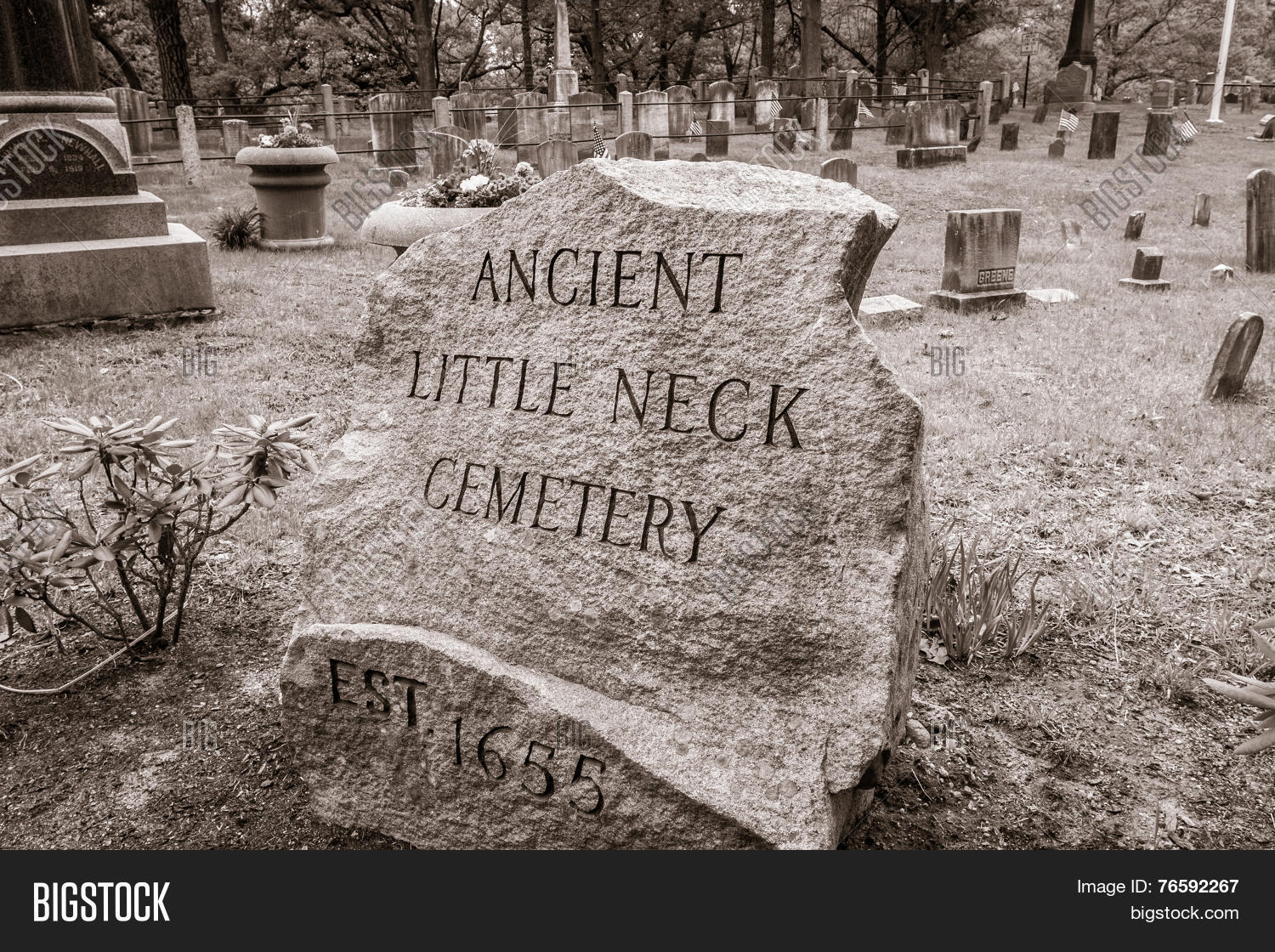 Ancient Little Neck Image & Photo (Free Trial) | Bigstock
