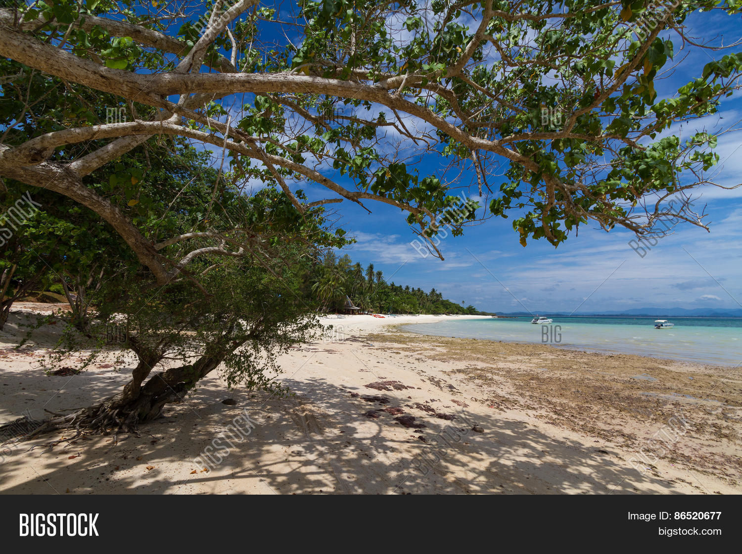 Koh Talu afbeelding en foto (gratis proefversie) | Bigstock