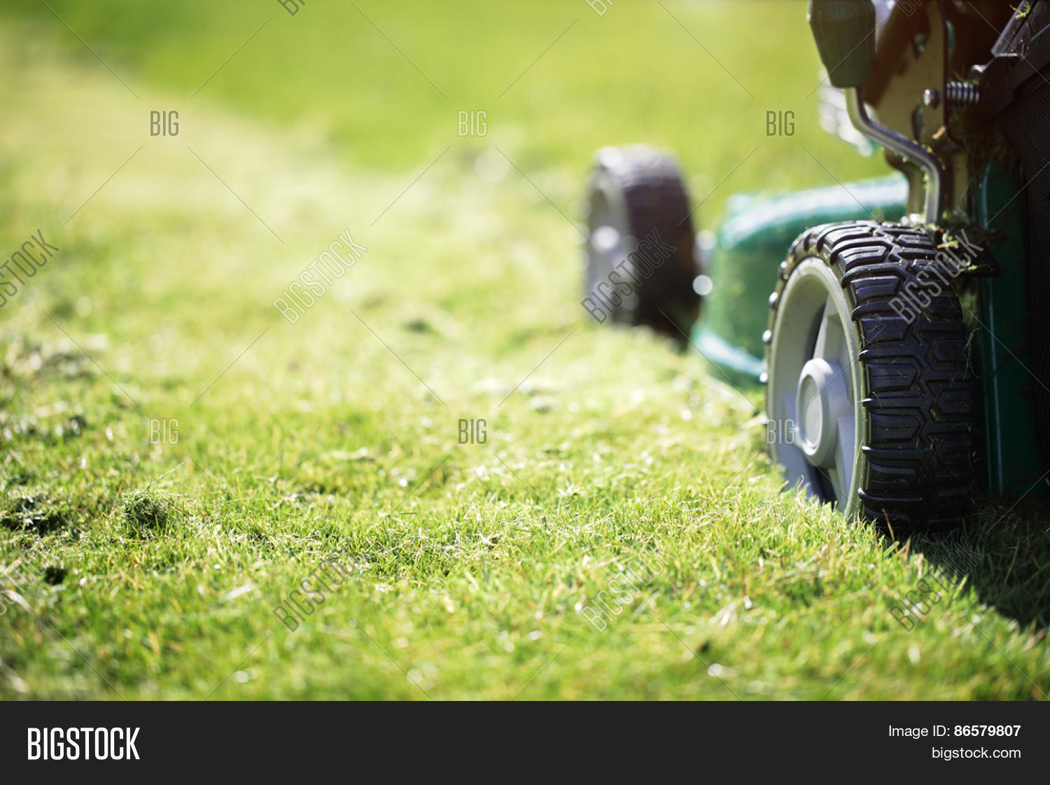 Mowing Cutting Long Image & Photo (Free Trial) | Bigstock