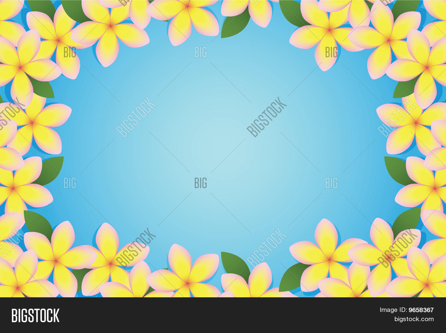 Plumeria Border Vector & Photo (Free Trial) | Bigstock