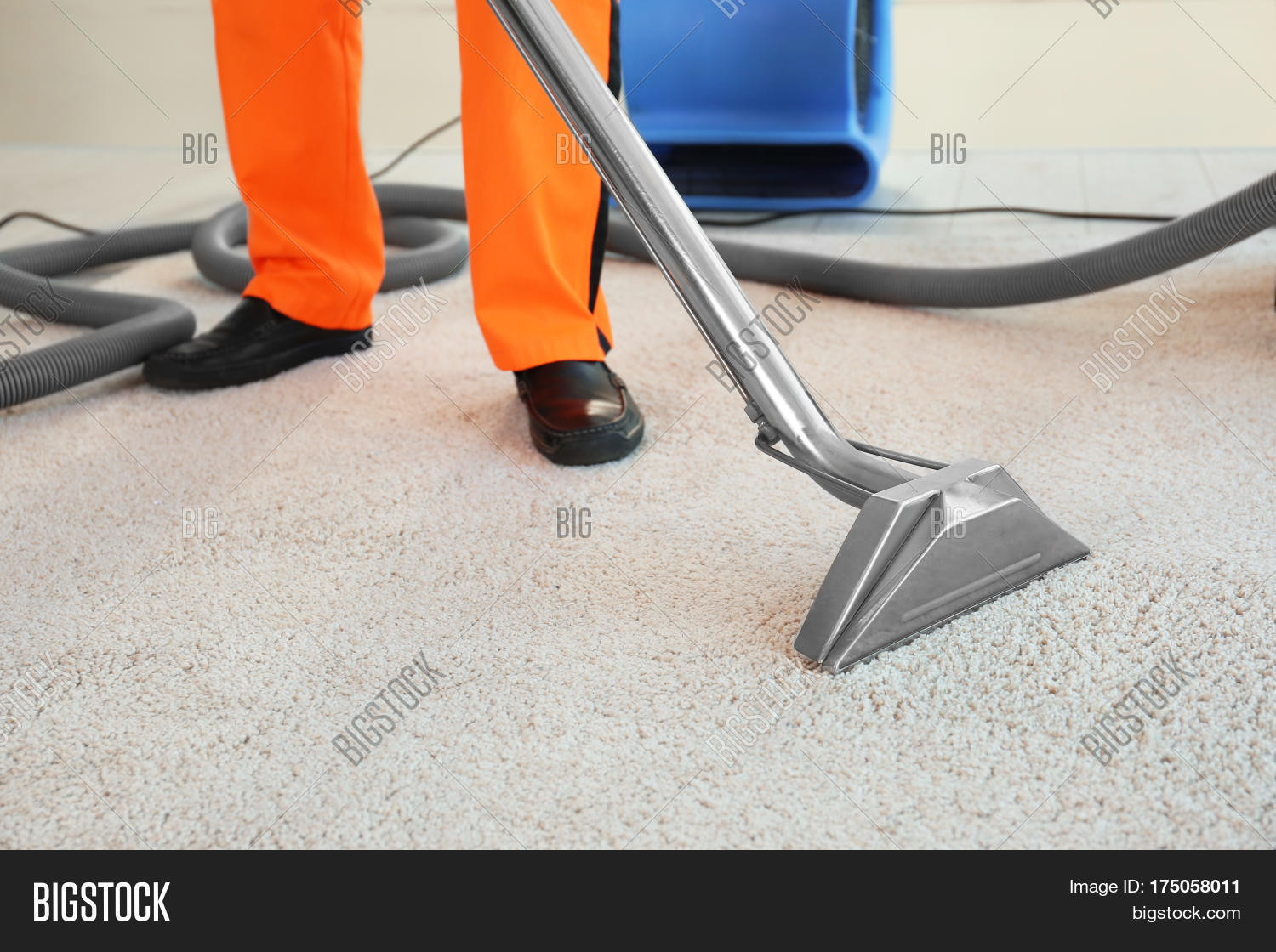 Dry Cleaner's Employee Image & Photo (Free Trial) | Bigstock