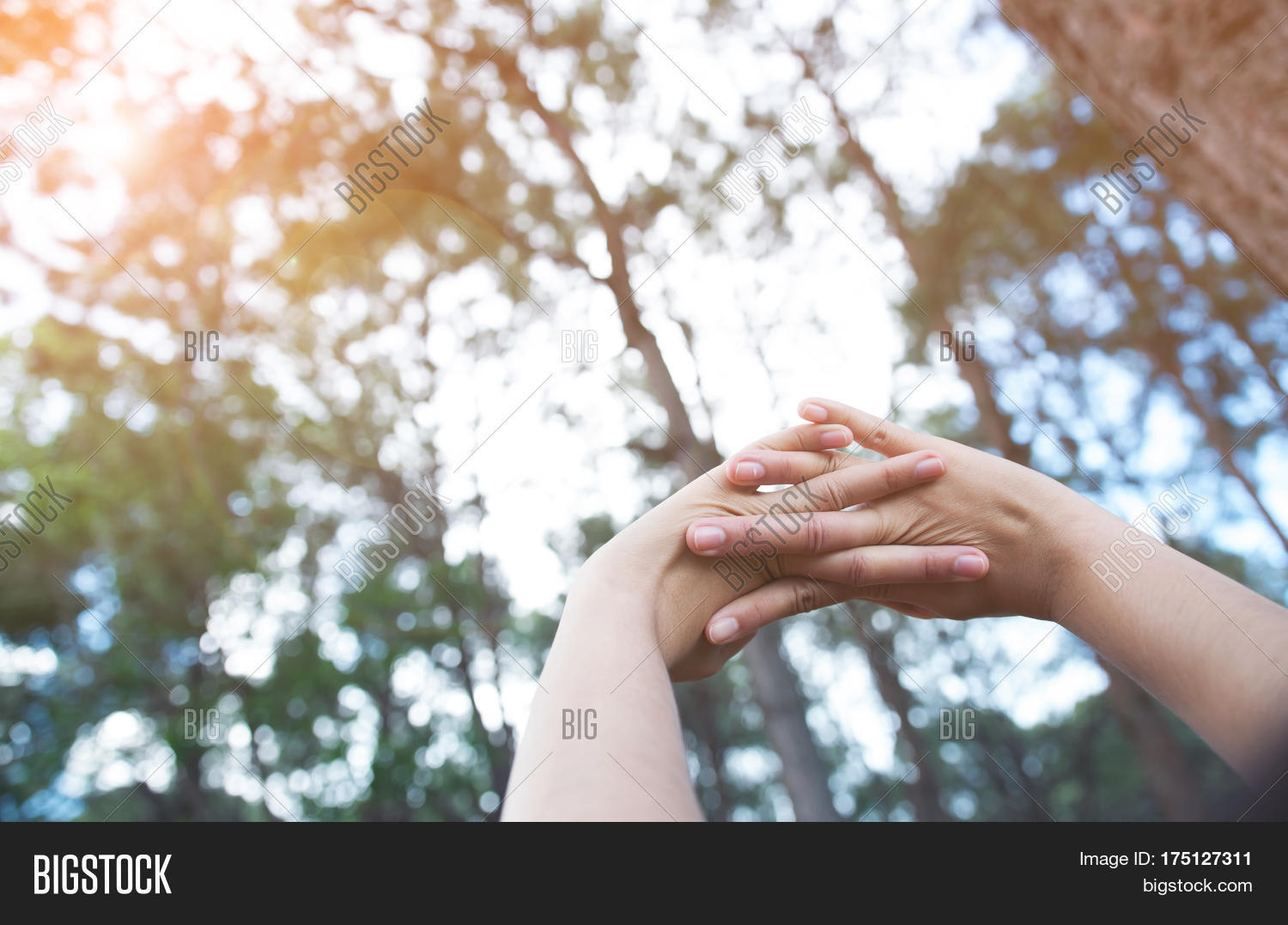 Happiness Relaxation Image & Photo (Free Trial) | Bigstock