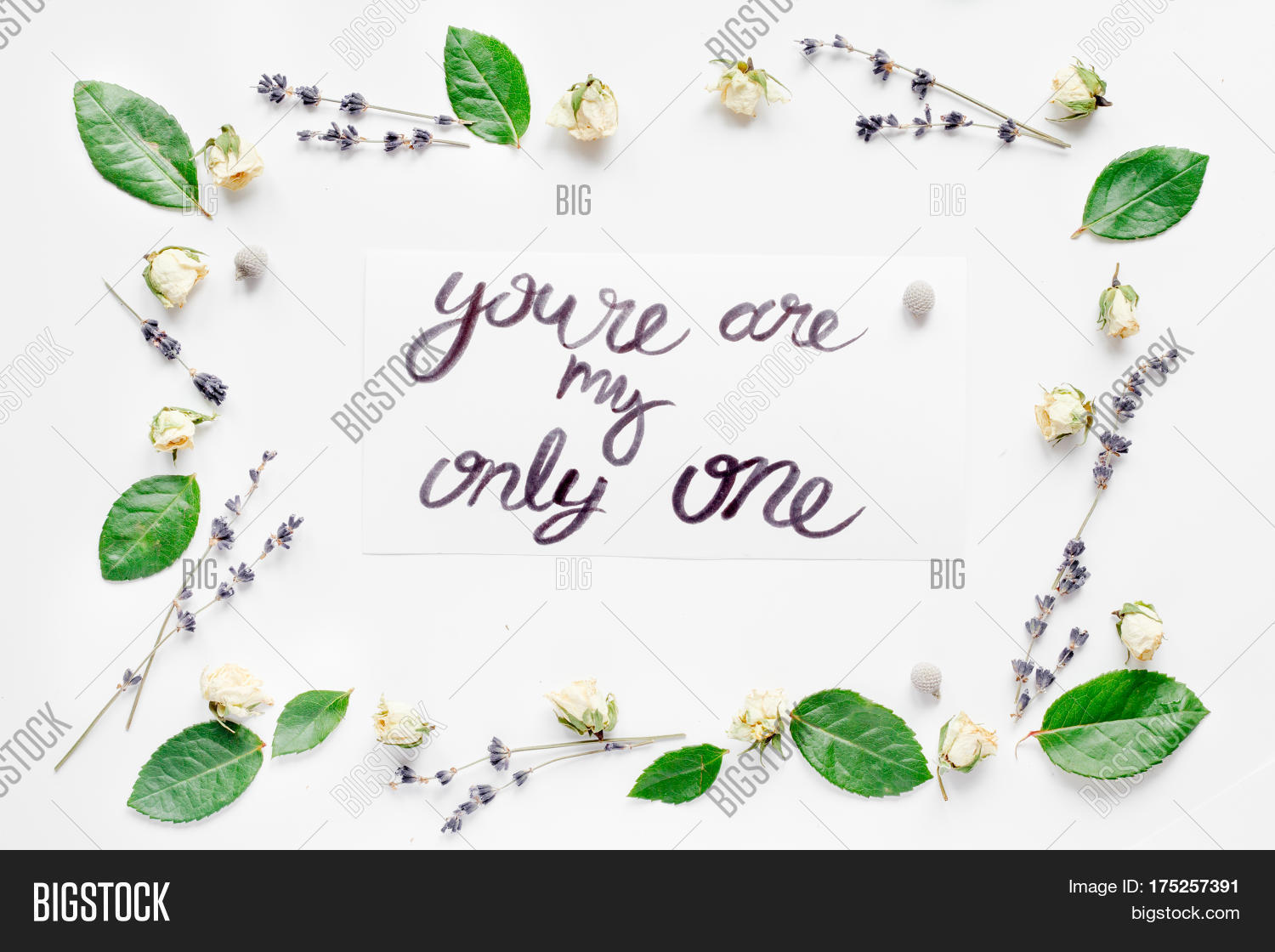 Concept Calligraphy Image & Photo (Free Trial) | Bigstock