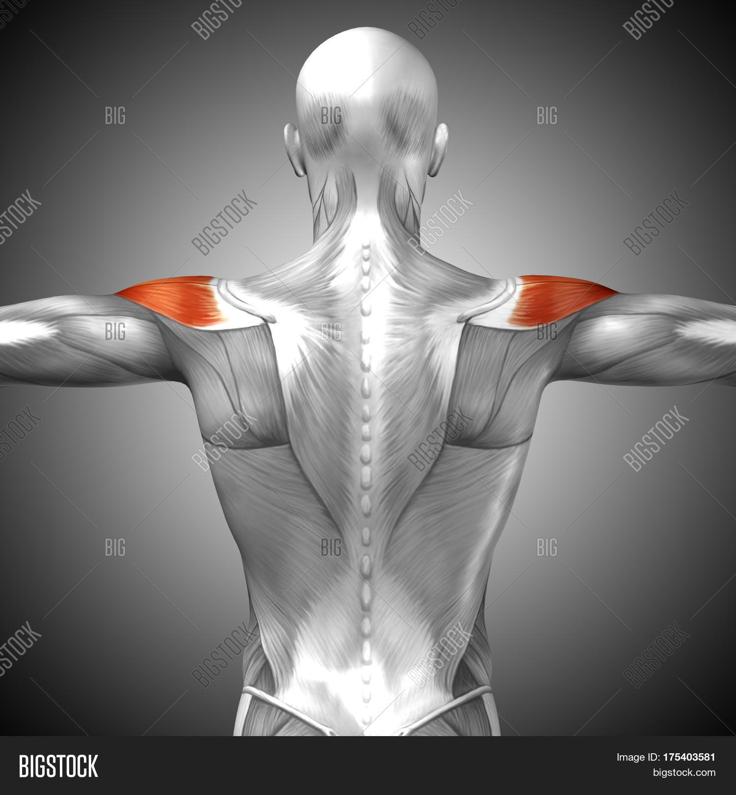 Concept Conceptual 3D Image & Photo (Free Trial) | Bigstock