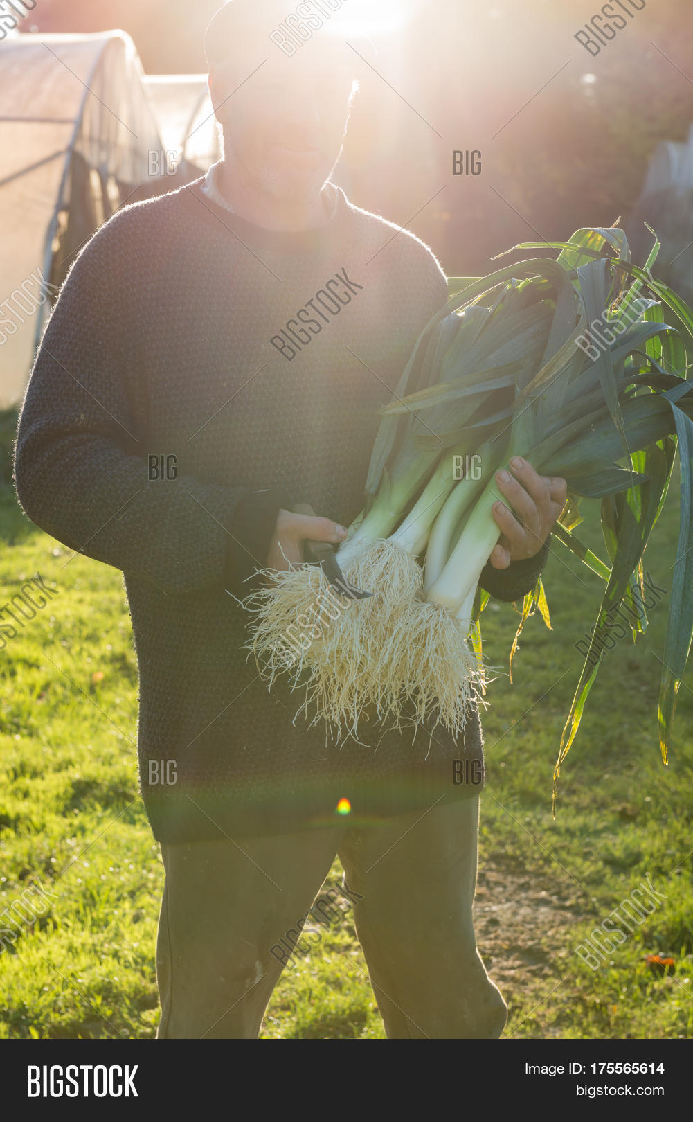 Man Bundle Leeks Image & Photo (Free Trial) | Bigstock