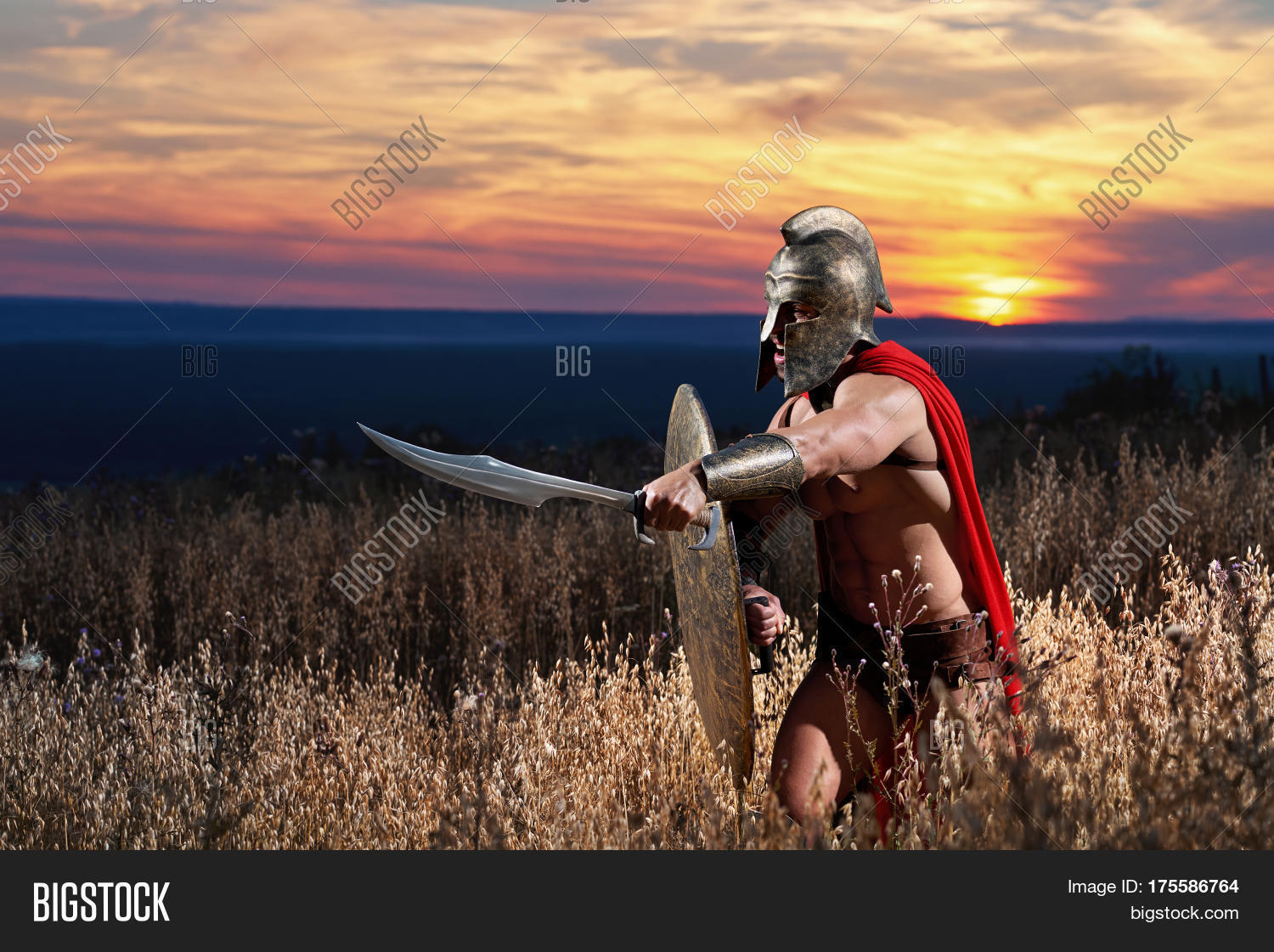 Spartan Soldier Battle Image & Photo (Free Trial) | Bigstock