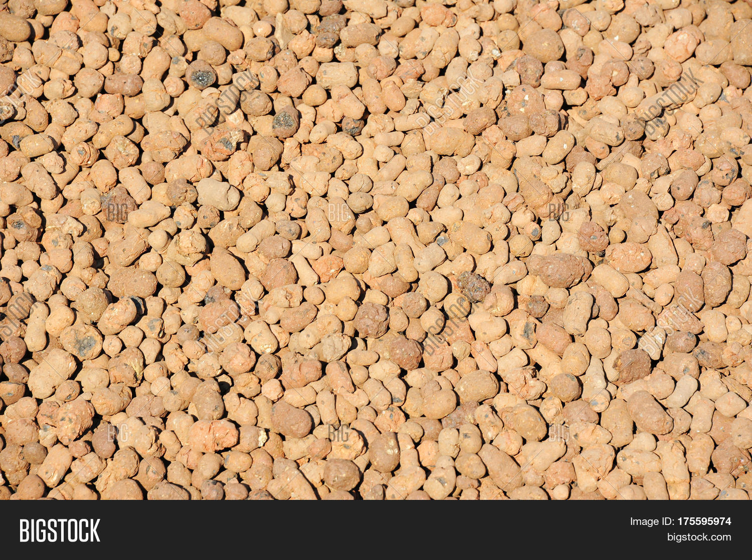 Close Red Haydite Image & Photo (Free Trial) | Bigstock