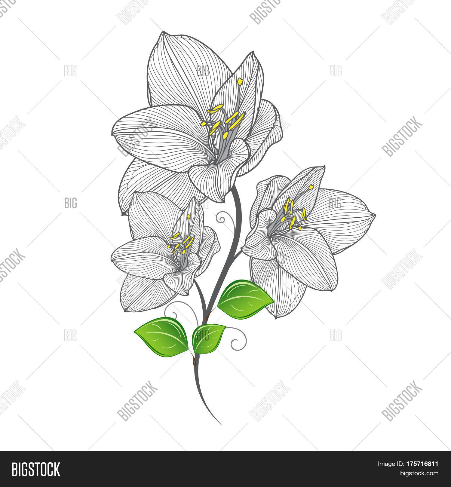 Beautiful Hand-drawing Image & Photo (Free Trial) | Bigstock