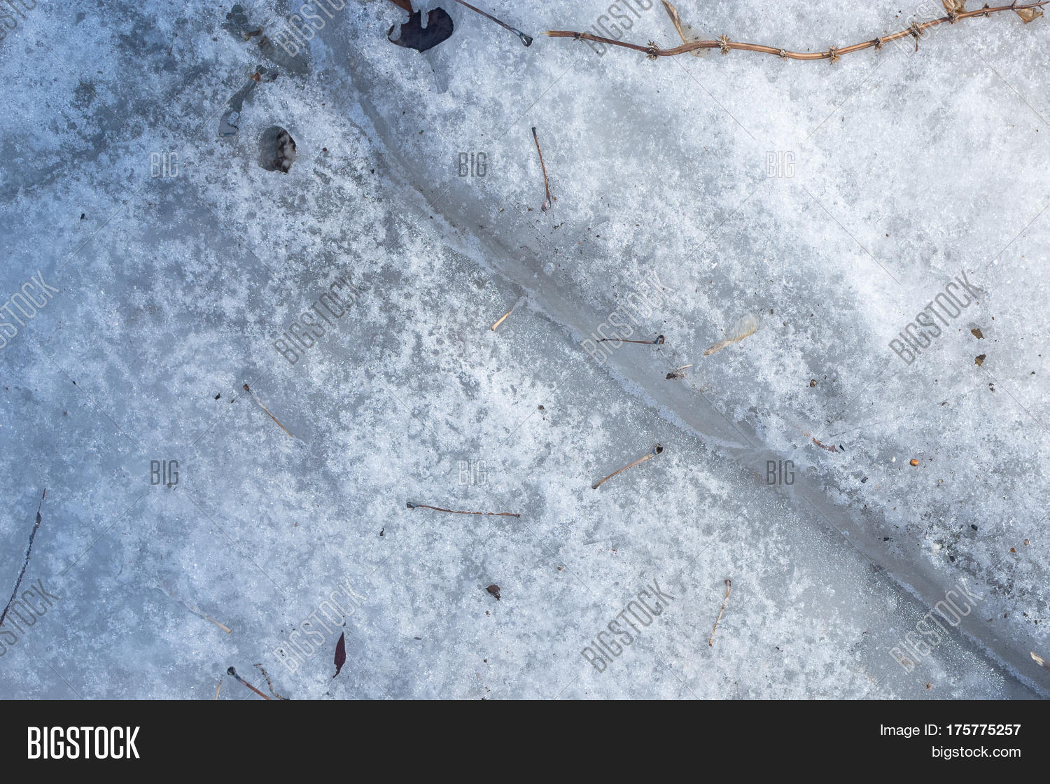 Melting Snow Image & Photo (Free Trial) | Bigstock