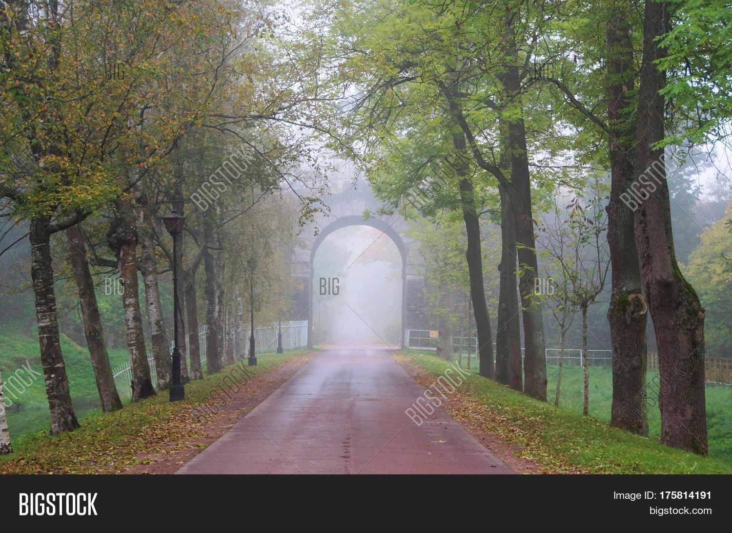 Great Whim Misty Image & Photo (Free Trial) | Bigstock