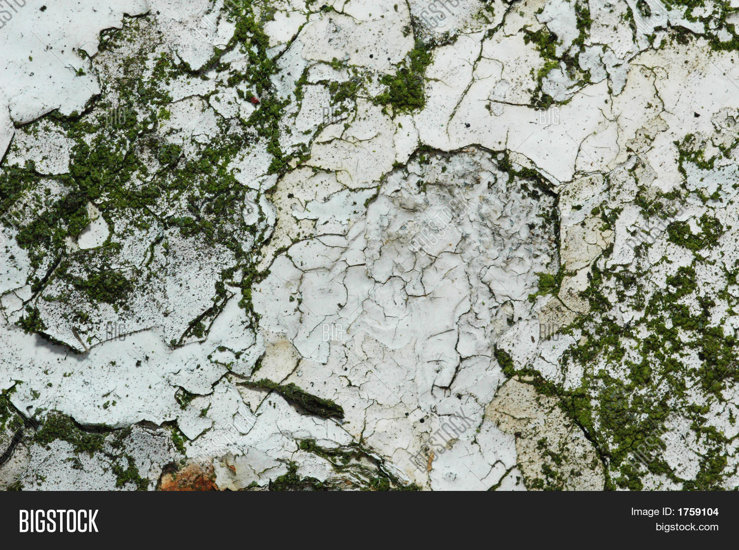 Flaky Paint Stone Image & Photo (Free Trial) | Bigstock