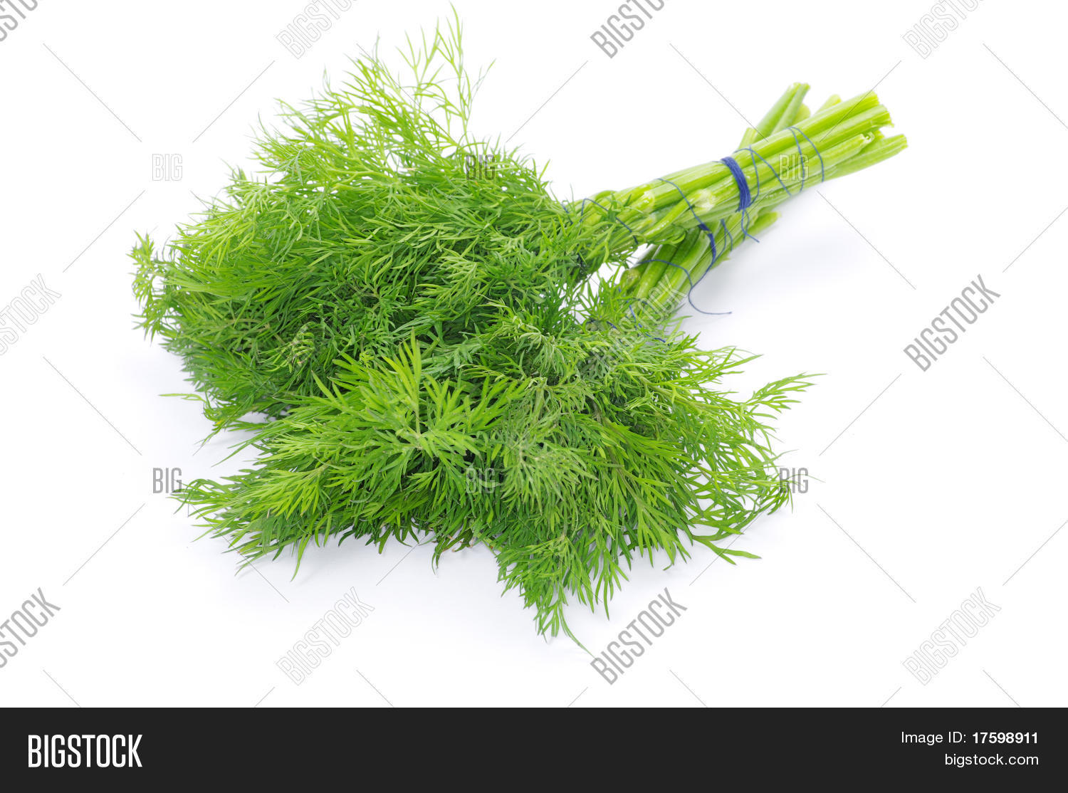 Dill On White Image & Photo (Free Trial) | Bigstock