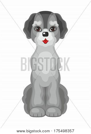 Labradoodle . Vector Vector & Photo (Free Trial) | Bigstock