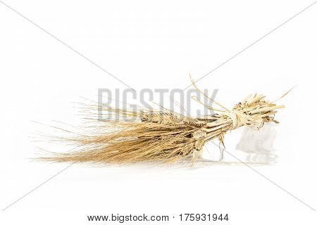 Barley Bunch Isolated Image & Photo (Free Trial) | Bigstock