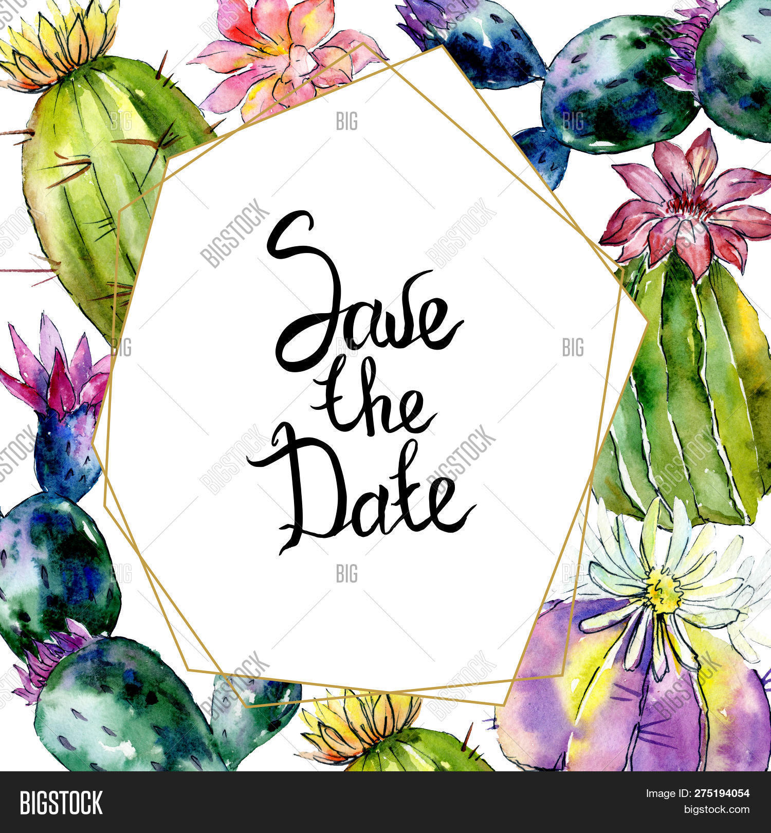 Green Cactus. Floral Image & Photo (Free Trial) | Bigstock