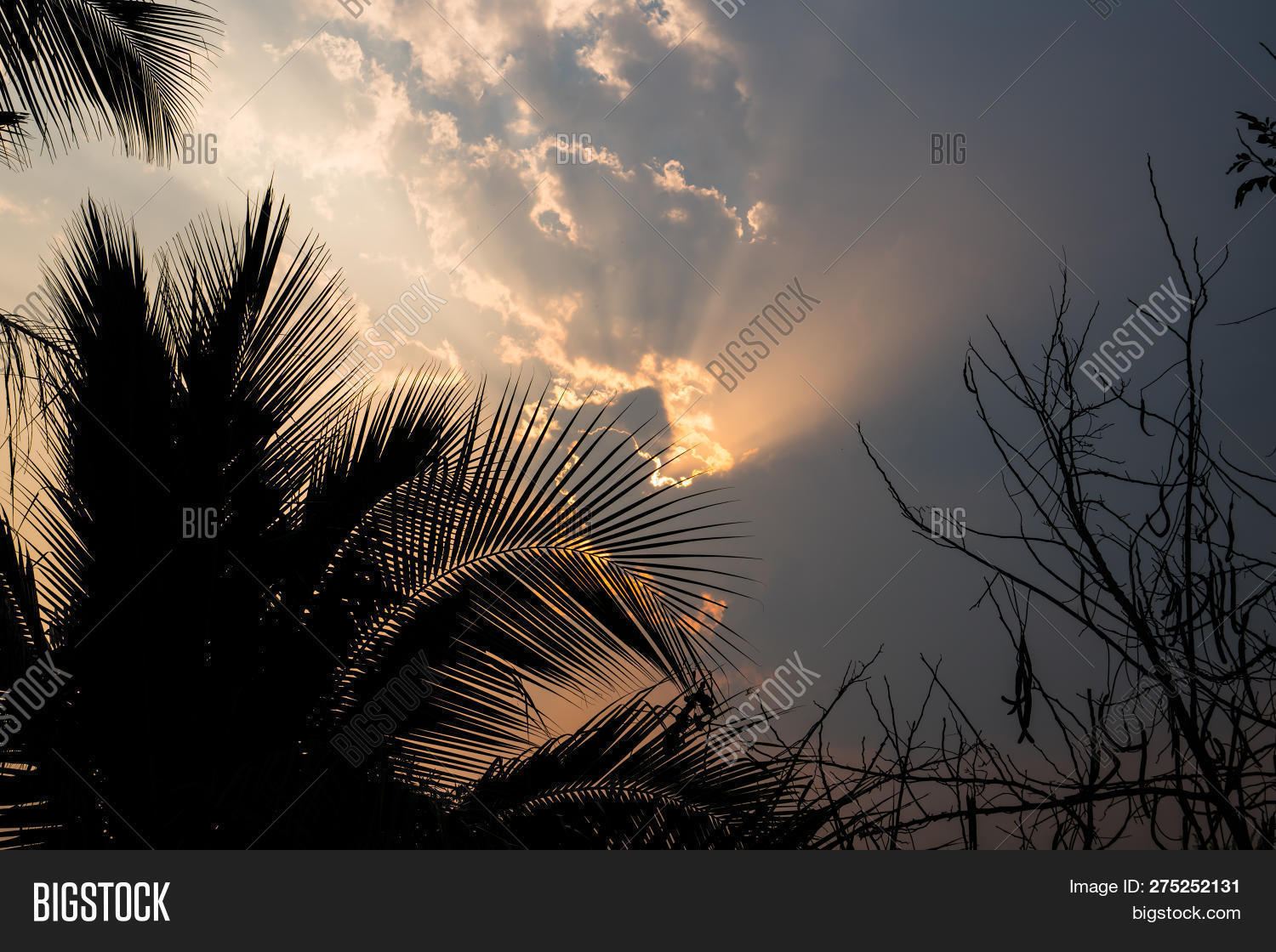 Natural Sunset Sunrise Image & Photo (Free Trial) | Bigstock