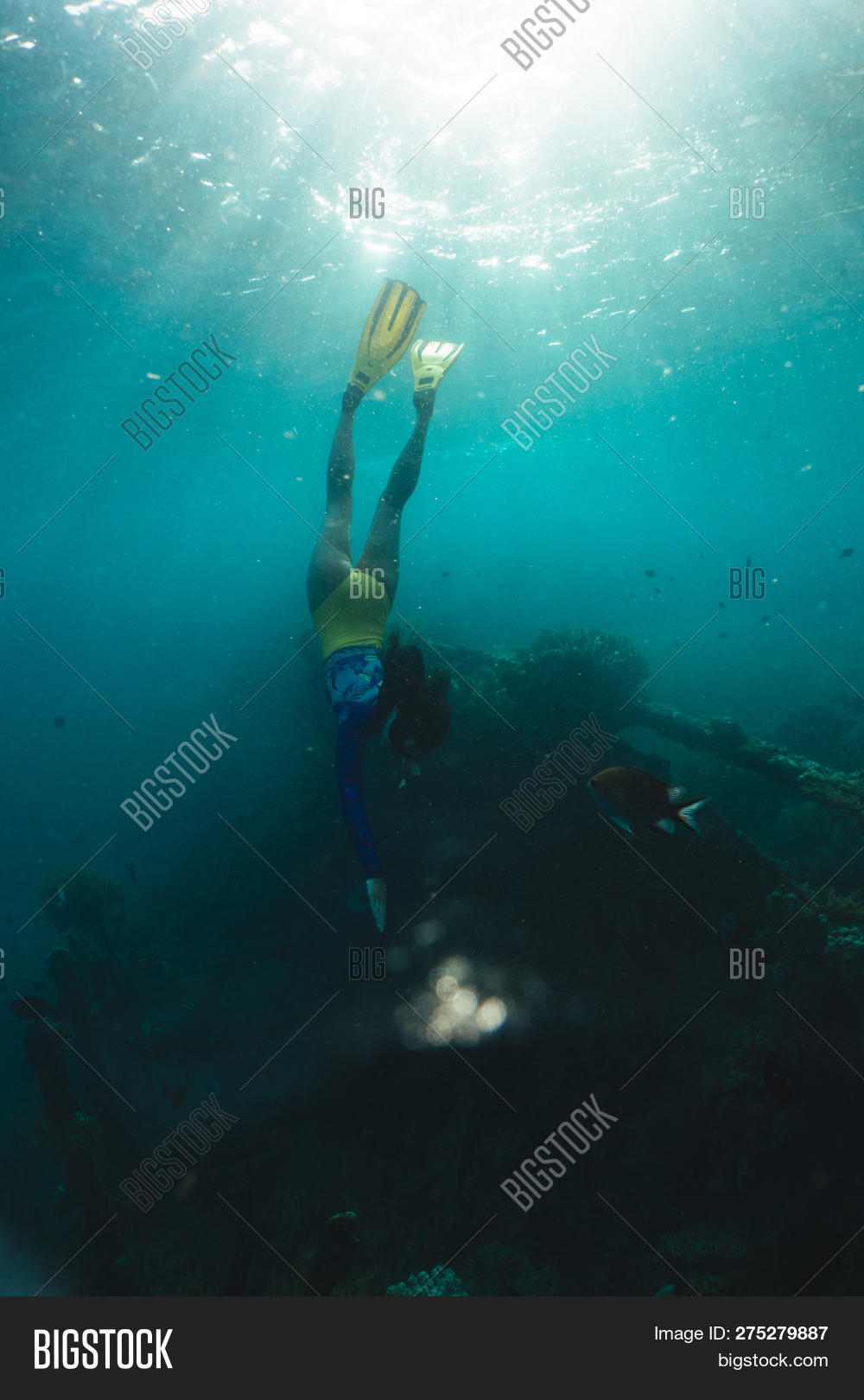 Girl Freediver Image & Photo (Free Trial) | Bigstock