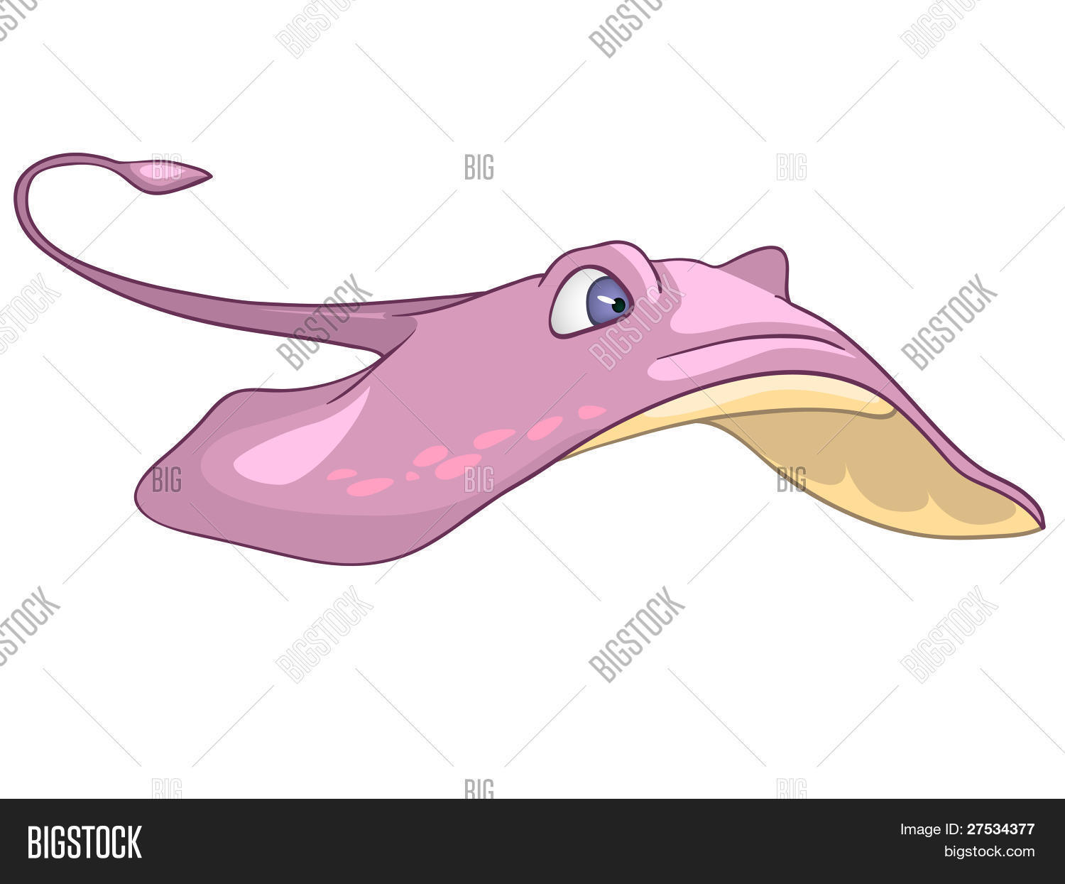 벡터 및 사진(무료 체험) | Bigstock